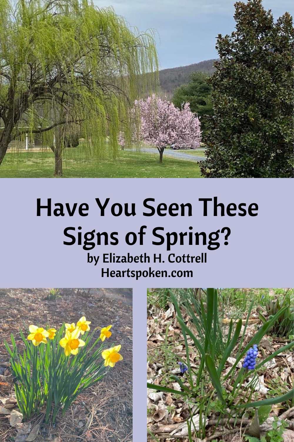 Have you seen these signs of Spring? - Heartspoken