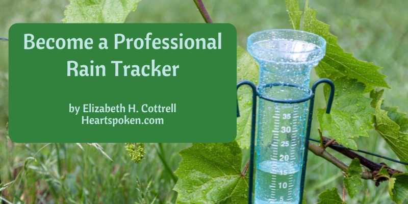 Become A Professional Rain Tracker - Heartspoken